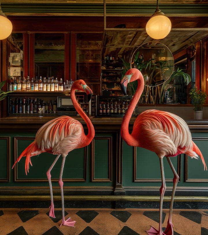YellowKorner: Art Photography · Art Gallery · Online Photo Purchase