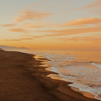 YellowKorner: Art Photography · Art Gallery · Online Photo Purchase
