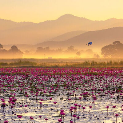 YellowKorner: Art Photography · Art Gallery · Online Photo Purchase