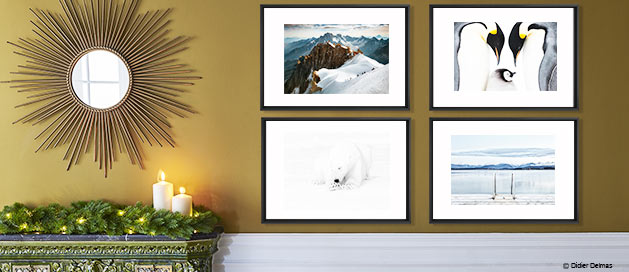 All of our art photos and prints · YellowKorner